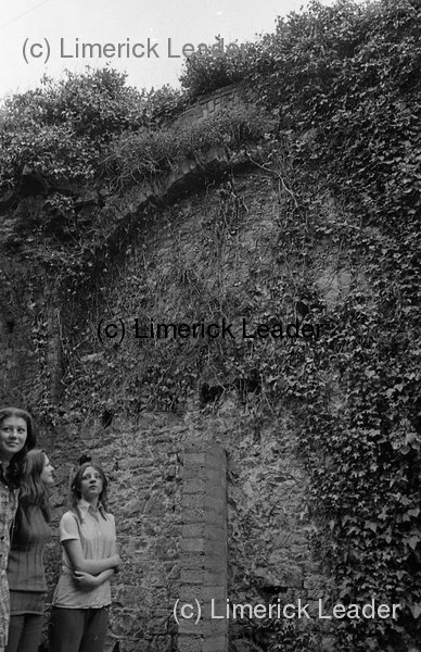 Hanging Gardens of Limerick, Post Office Lane SOC 05-1972 | From ...