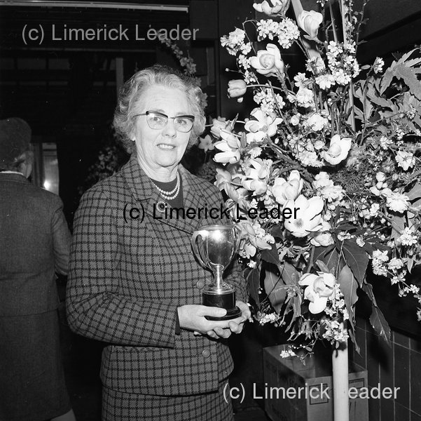Limerick Flower Show at the Greenhills Hotel 1971 | From Limerick With Love