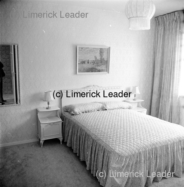 Show House in Corbally for John Purcell - McInerneys Advertising 06 ...