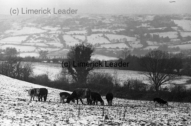 Snow Scenes Limerick and Clare 1971 | From Limerick With Love